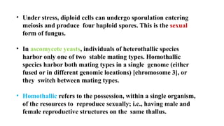 Yeast Mating Types: Unraveling the Secrets of Sexual Reproduction in ...