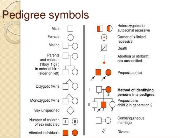 Genetics in haematology2012