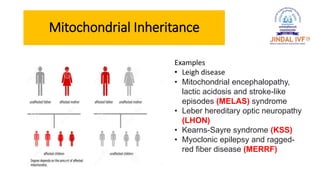 Genetics in Infertility 2023.pptx