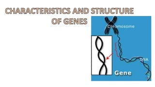 Genetics in nsg unit i part 2 | PPTX