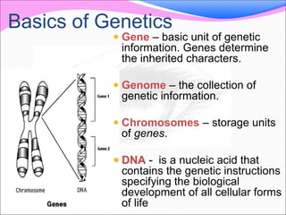 Genetics in Ophthalmology | PPTX