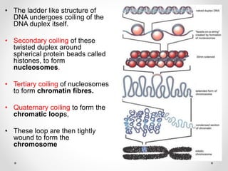Genetics in orthodonics | PPTX
