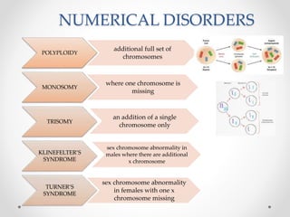 Genetics in orthodonics | PPTX