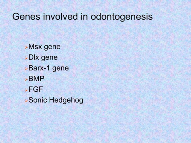 Genetics in orthodontics | PPTX | Dental Health | Diseases and Conditions