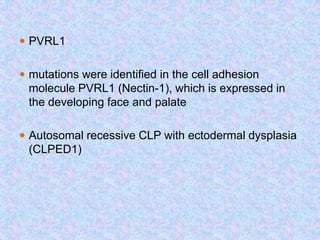 Genetics in orthodontics | PPTX