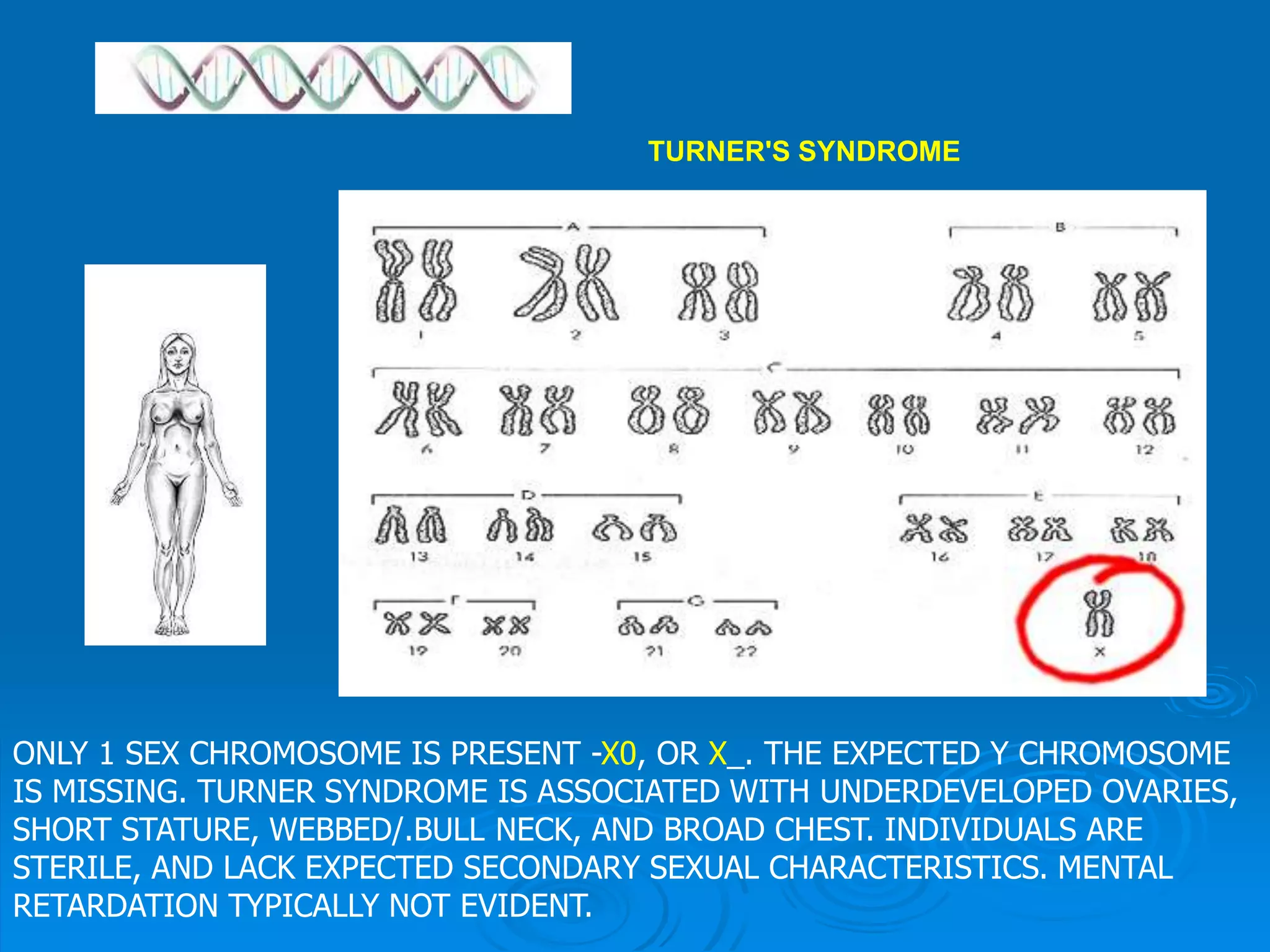Genetics in Orthodontics | PPT