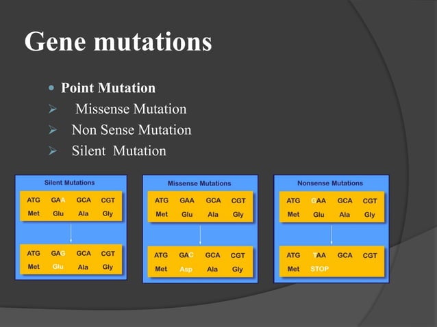 GENETIC MUTATIONS IN PERIODONTAL DISEASE.pptx | Genetics | Science