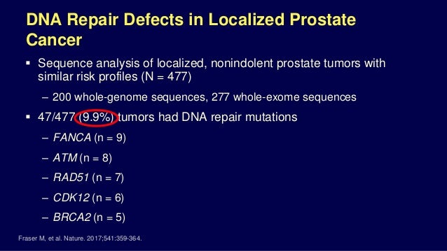 Genetics In Prostate Cancer