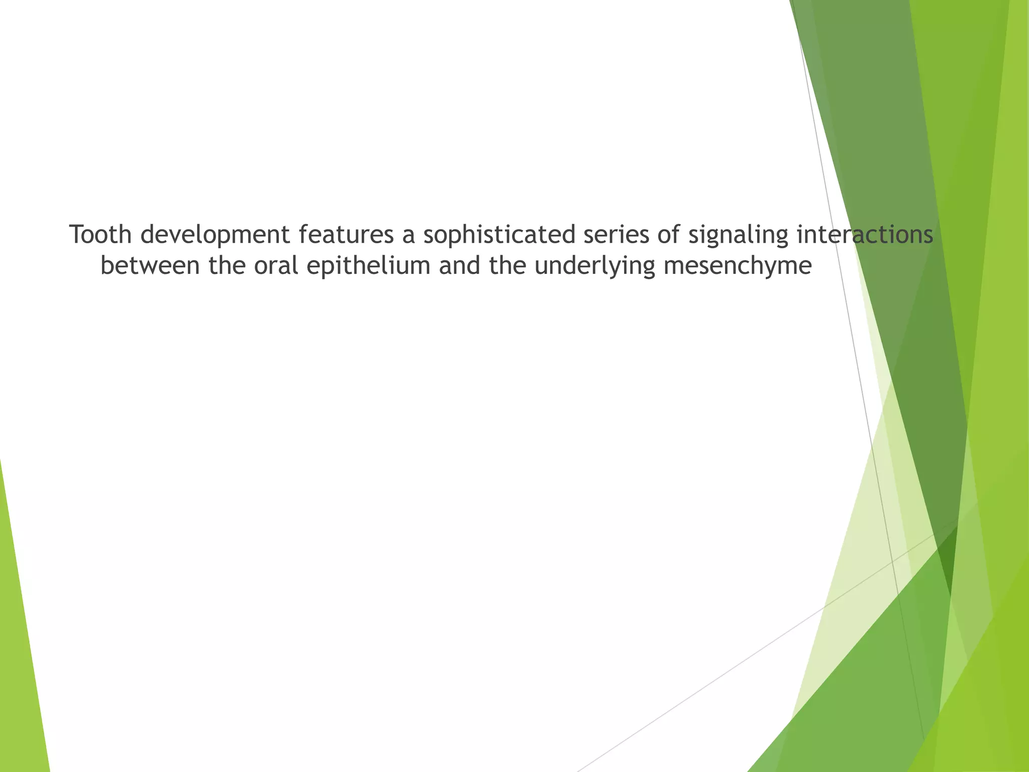 Genetics in tooth development | PPTX