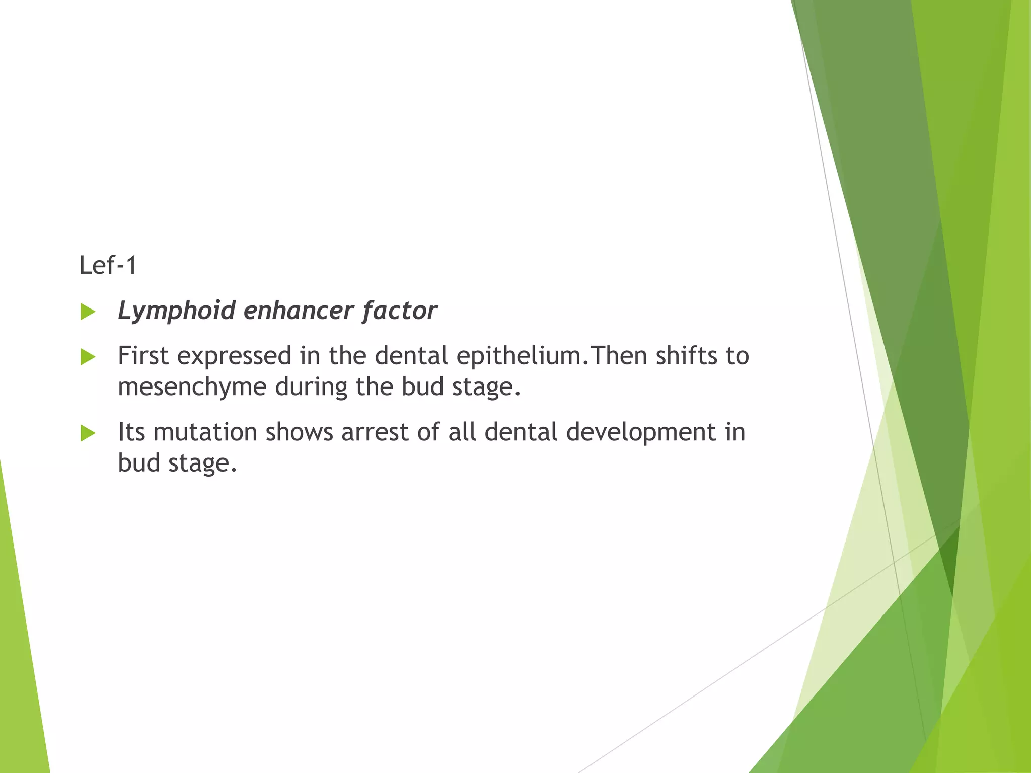 Genetics in tooth development | PPTX