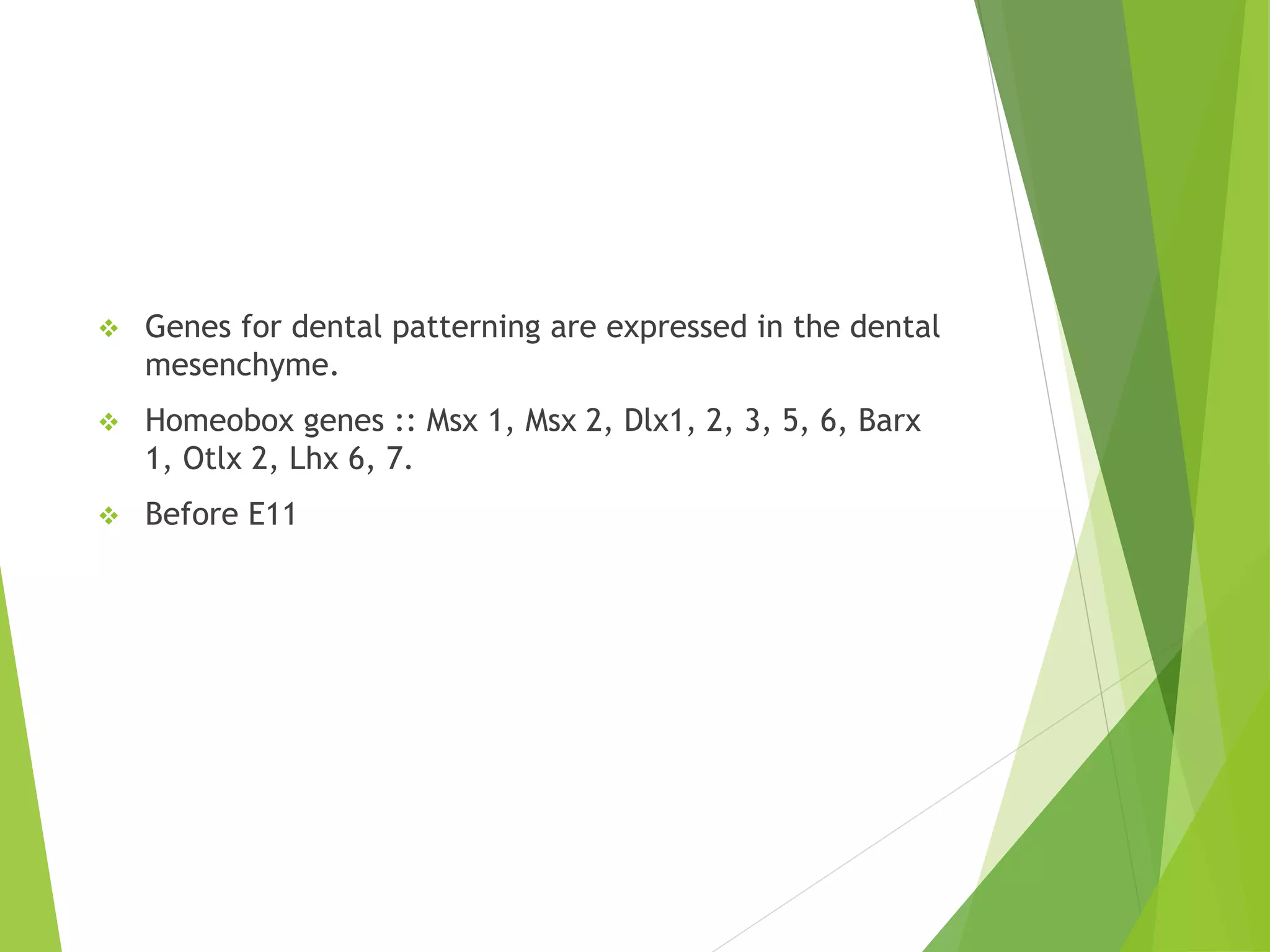 Genetics in tooth development | PPTX
