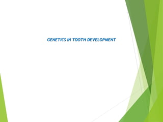 Genetics in tooth development | PPTX
