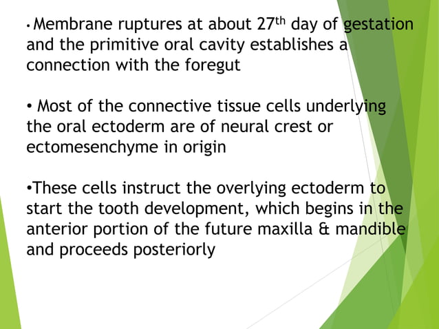 Genetics in tooth development | PPTX
