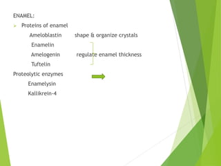 Genetics in tooth development | PPTX