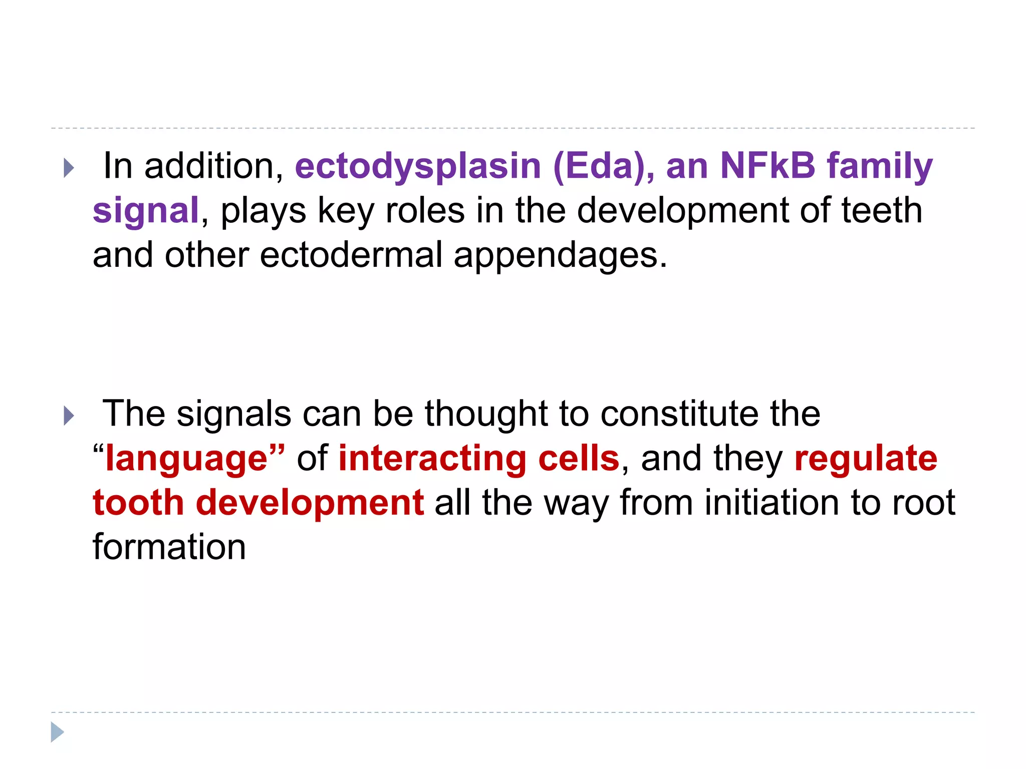 Genetics in tooth development - Copy.pptx