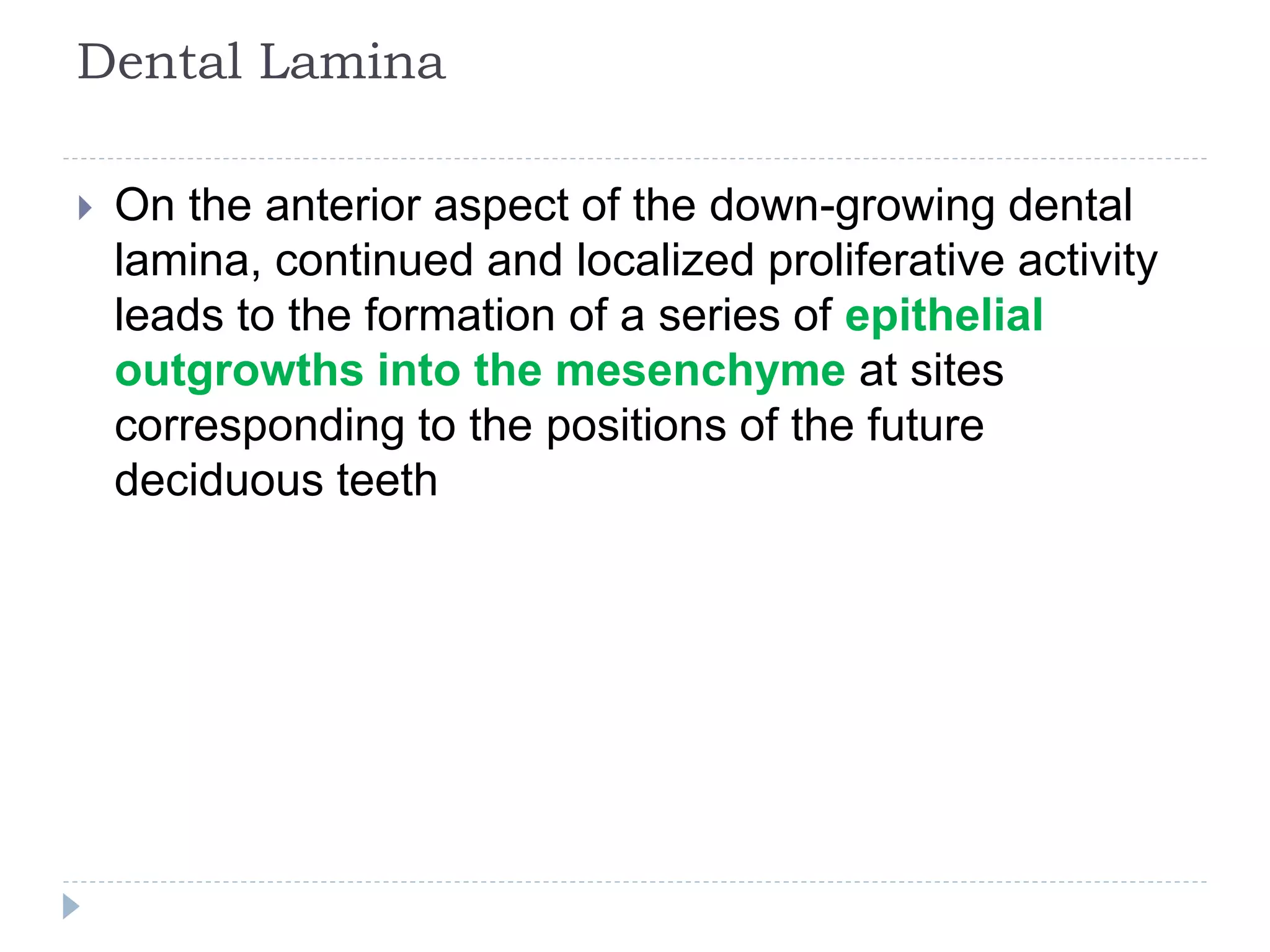 Genetics in tooth development - Copy.pptx