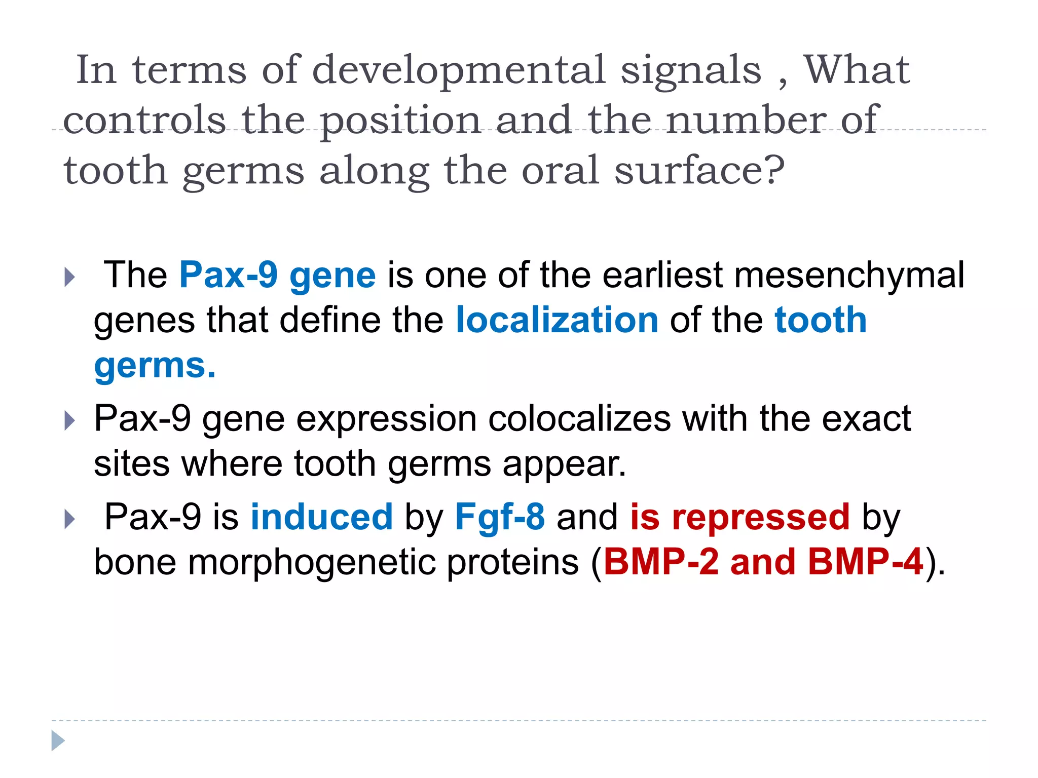 Genetics in tooth development - Copy.pptx