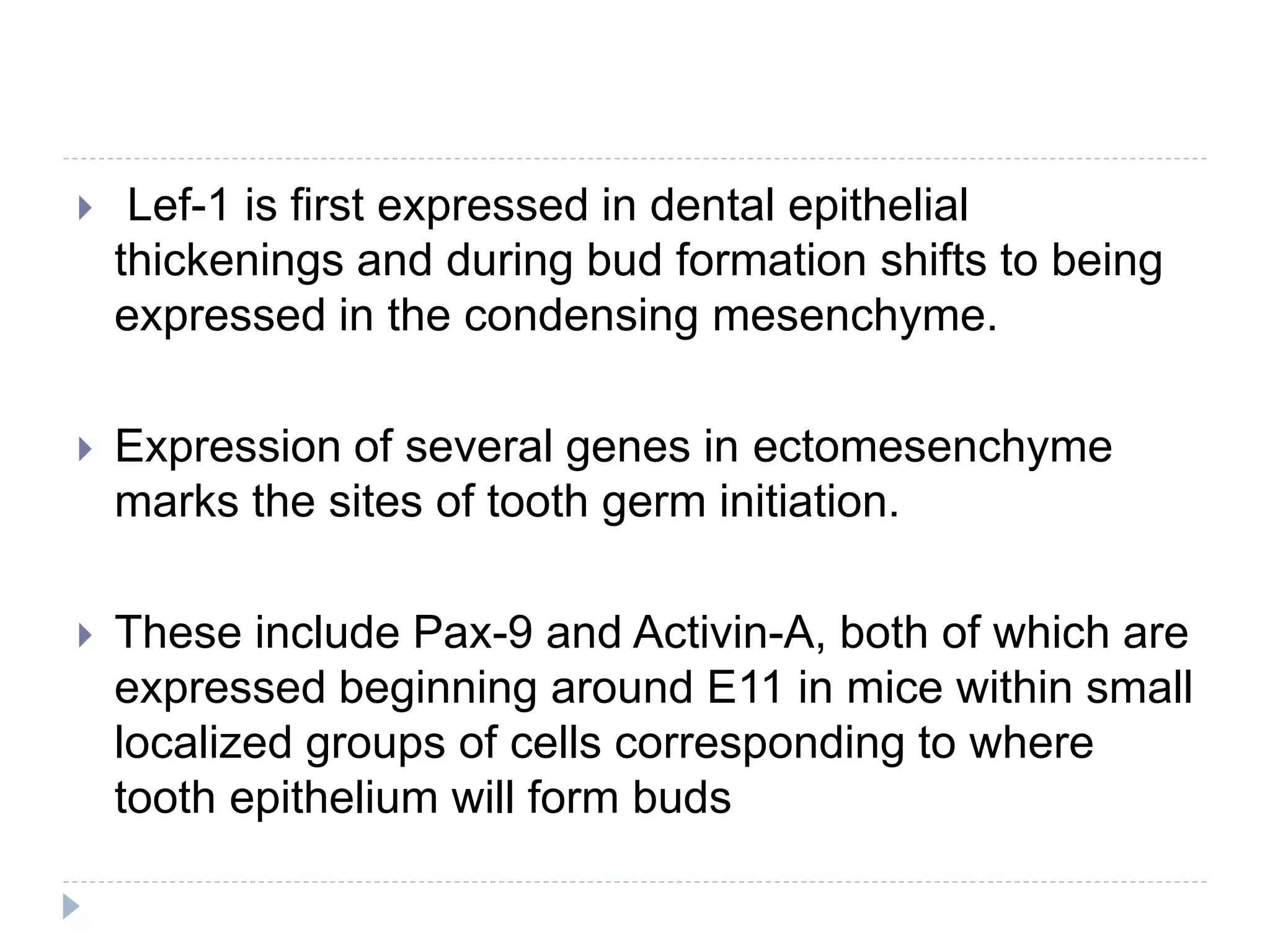 Genetics in tooth development - Copy.pptx