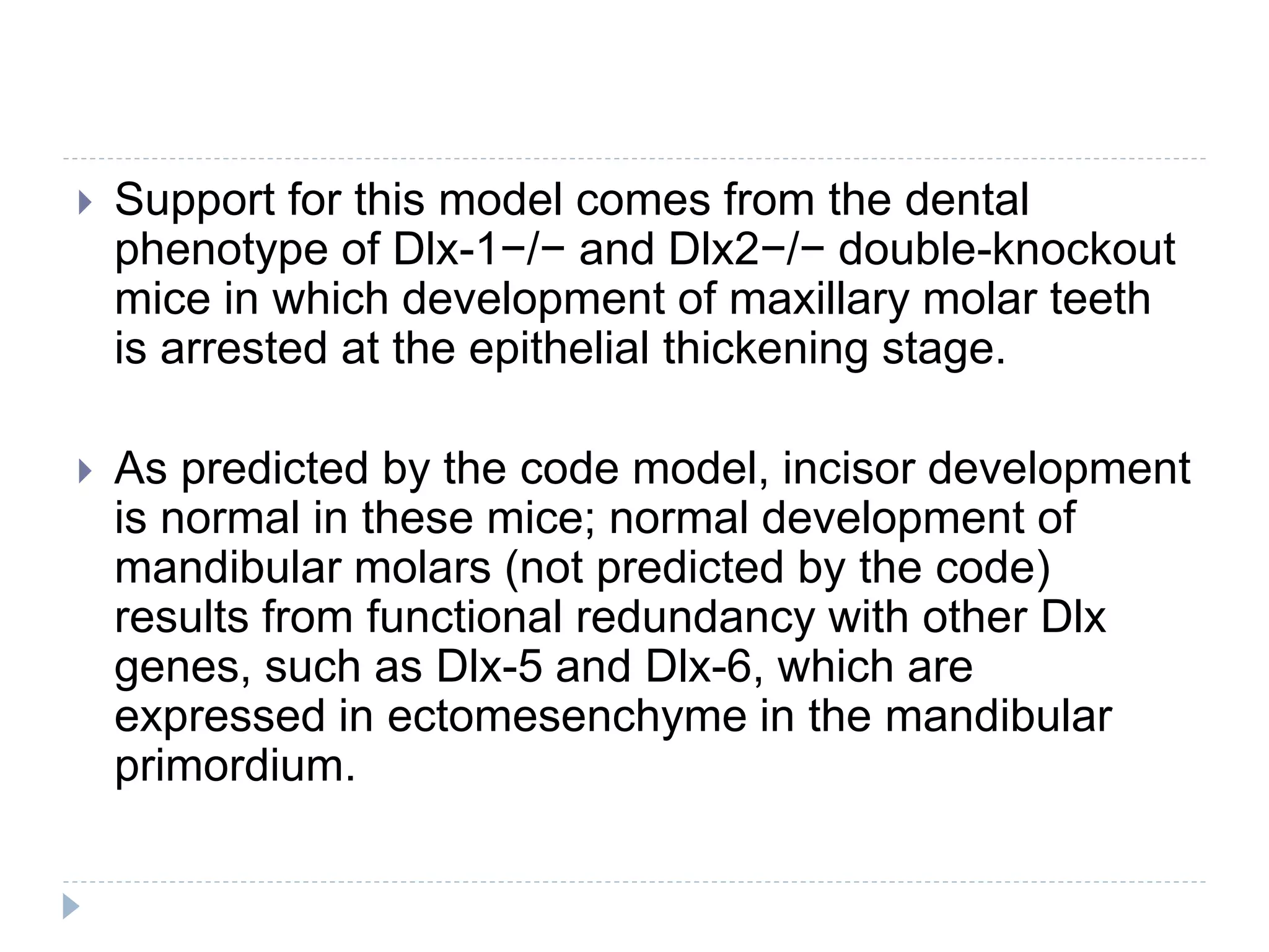 Genetics in tooth development - Copy.pptx