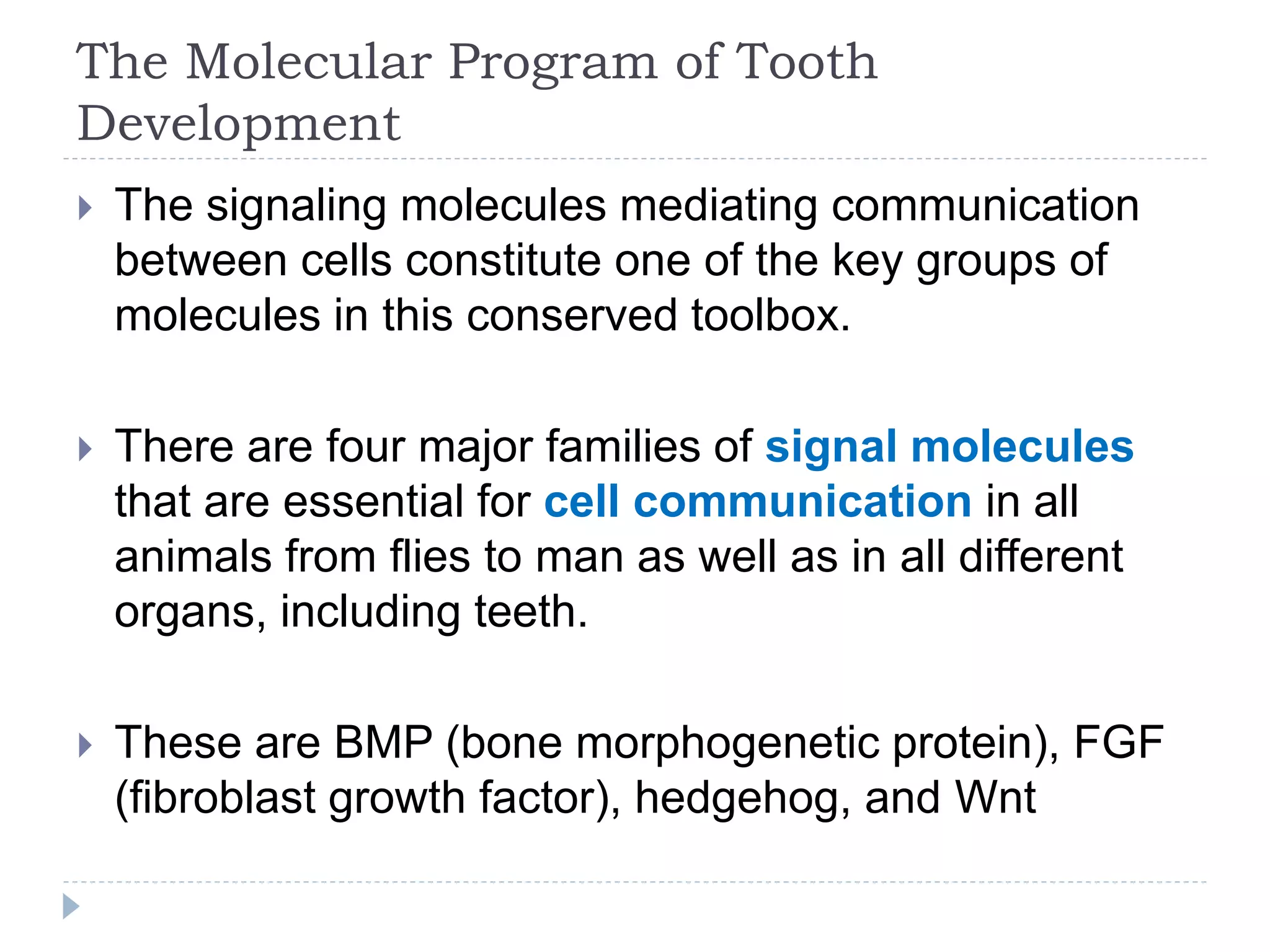 Genetics in tooth development - Copy.pptx