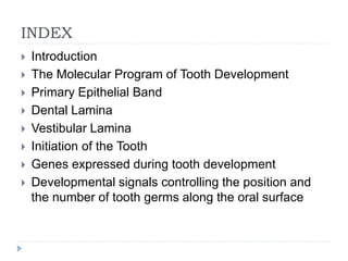 Genetics in tooth development - Copy.pptx