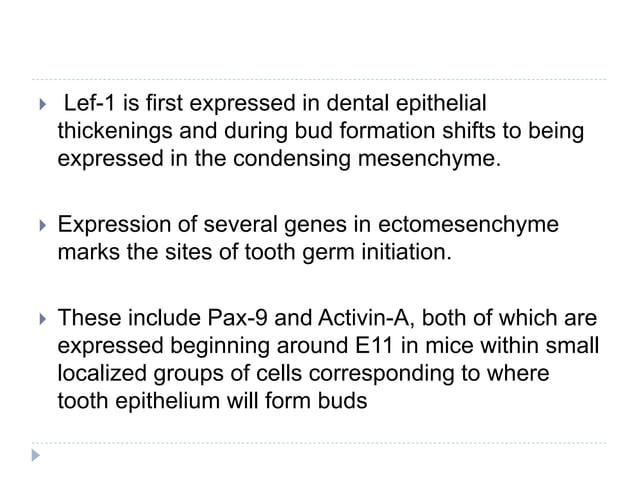 Genetics in tooth development - Copy.pptx | Dental Health | Diseases ...