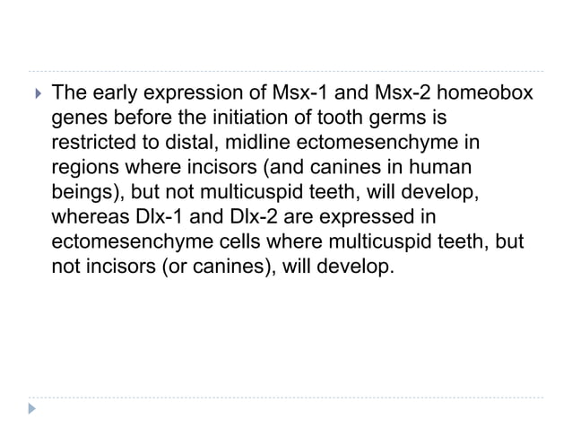 Genetics in tooth development - Copy.pptx | Dental Health | Diseases ...