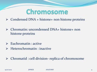 Genetics introduction to Medicos | PPT