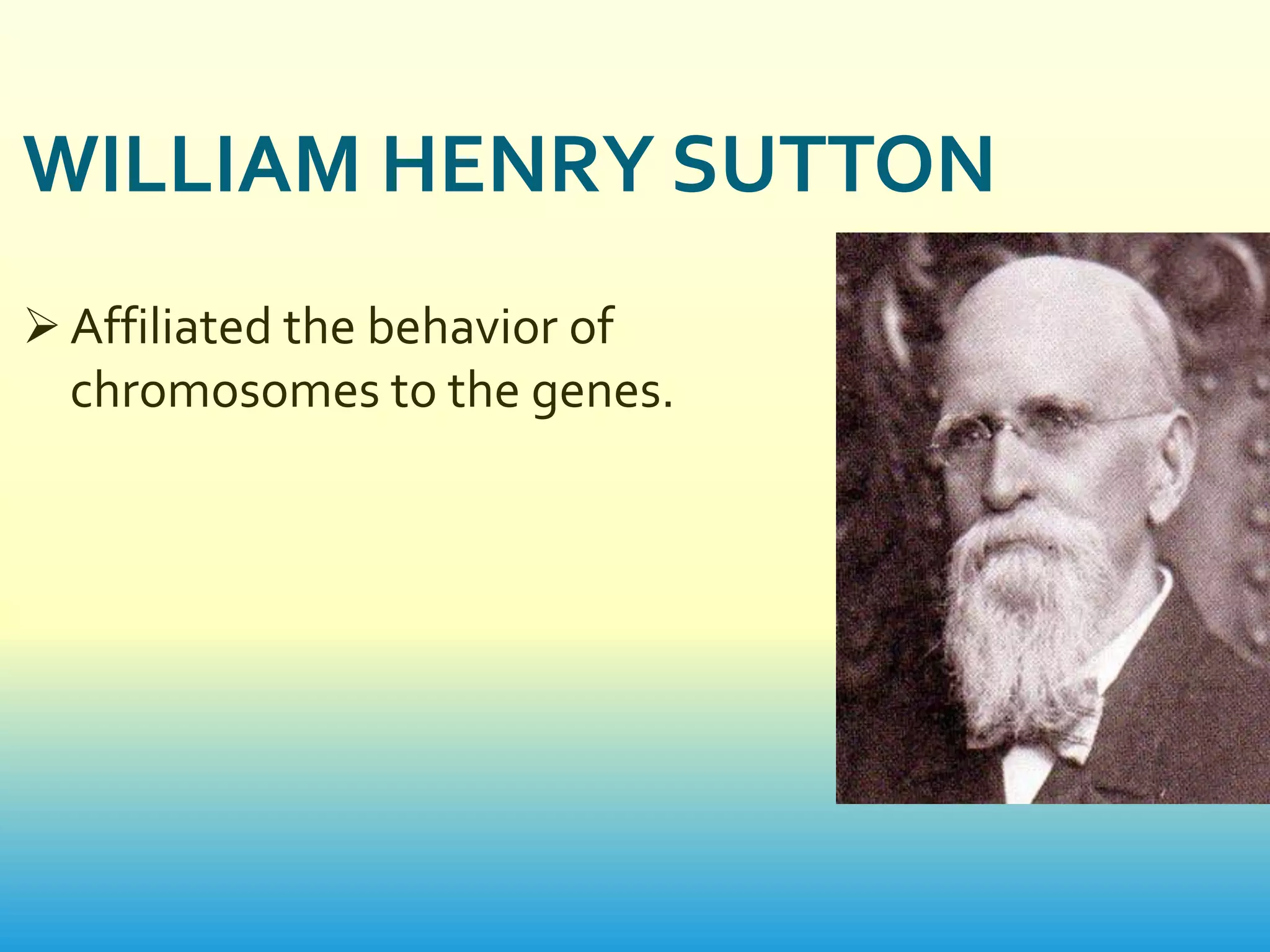 Introduction to Genetics | PPTX | Genetics | Science