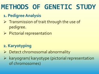 Introduction to Genetics | PPTX