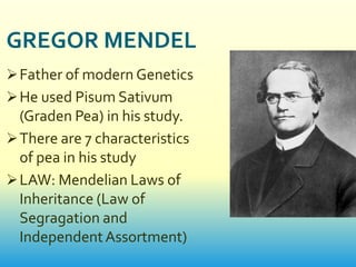 Introduction to Genetics | PPTX