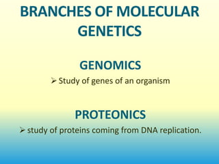 Introduction to Genetics | PPTX