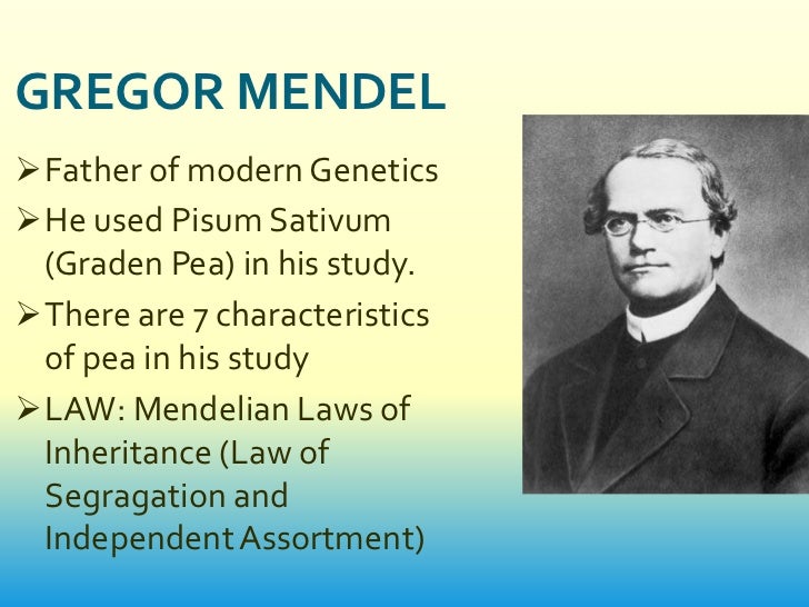 Mendel Quotes