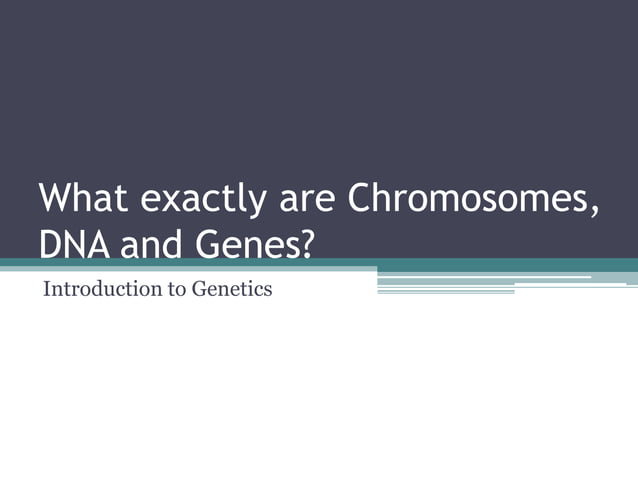 Genetics introduction | PPTX | Genetics | Science
