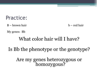 Genetics introduction | PPTX | Genetics | Science