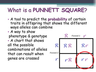 Genetics introduction | PPTX | Genetics | Science