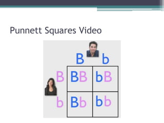 Genetics introduction | PPTX | Genetics | Science