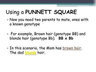 Genetics introduction | PPTX | Genetics | Science