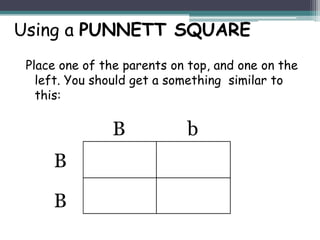 Genetics introduction | PPTX | Genetics | Science