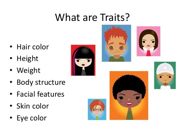 Genetics introduction