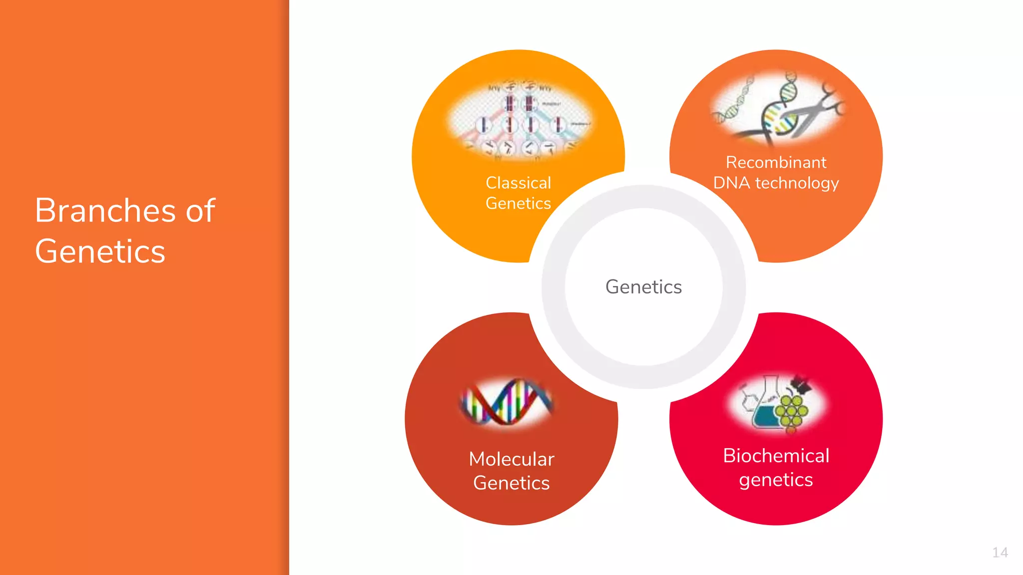 Genetics introduction | PPTX