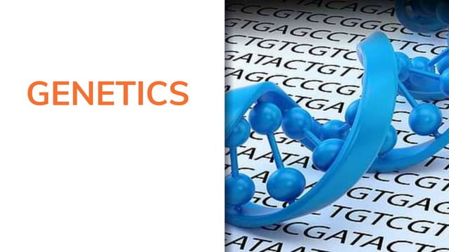 Genetics introduction | PPT