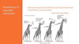 Genetics introduction | PPTX