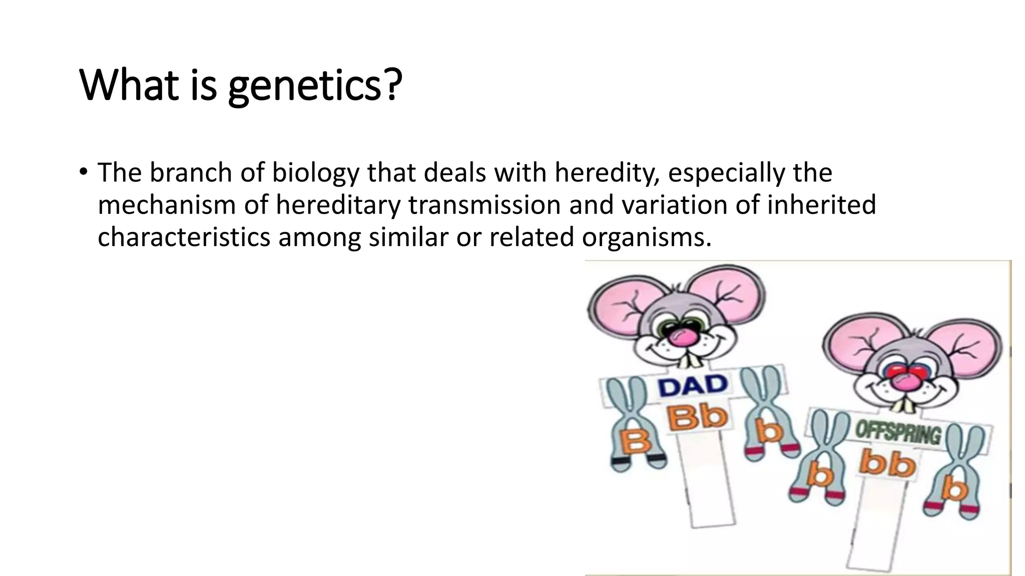 Genetics introduction unit | PPTX