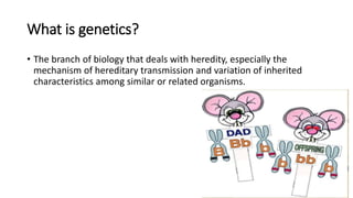 Genetics introduction unit | PPTX