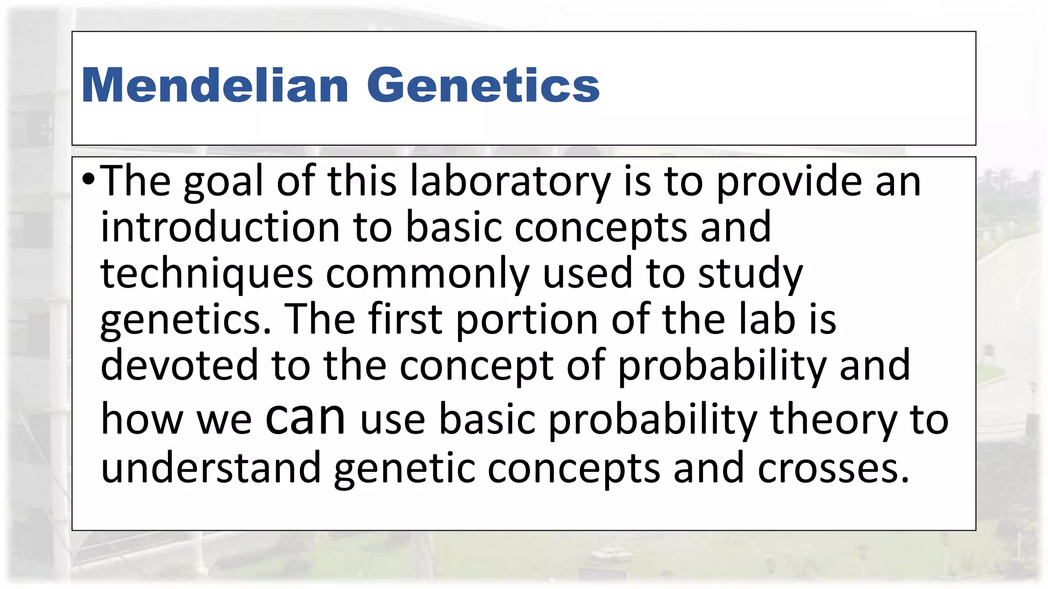 Genetics Lab 2.pptx