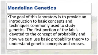 Genetics Lab 2.pptx
