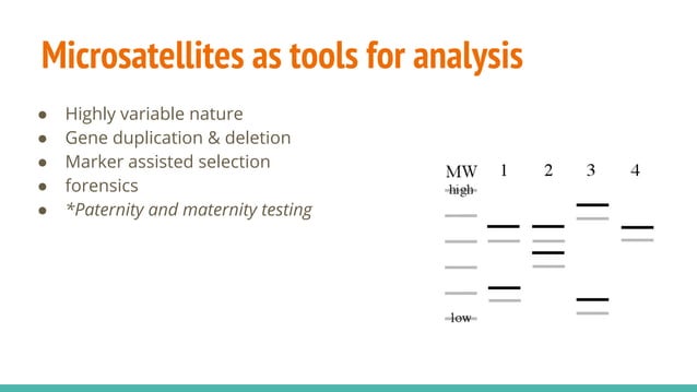 Microsatellites as Identifiers | PPT