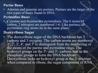 DNA STRUCTURE, REPLICATION AND MANIPULATION | PPTX