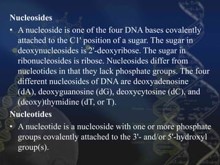 DNA STRUCTURE, REPLICATION AND MANIPULATION | PPTX